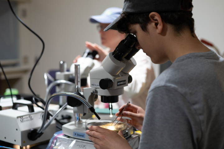 W&M student, mentor team up to capture national park science in photos ...