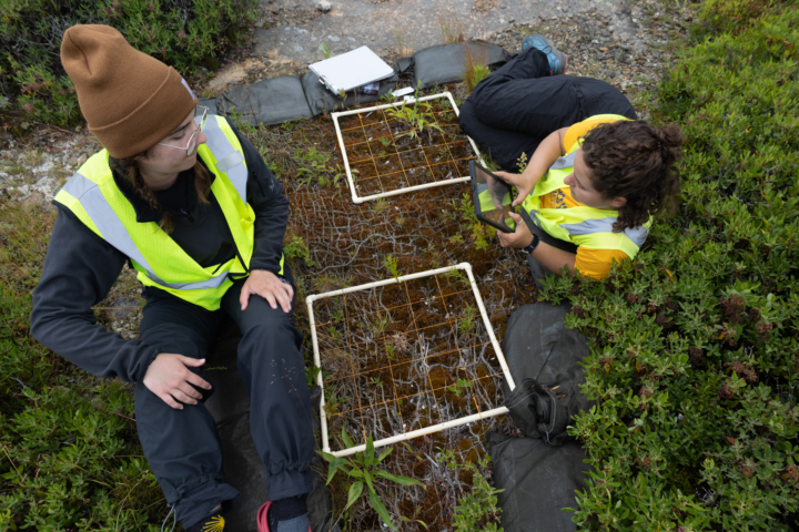 W&M student, mentor team up to capture national park science in photos ...