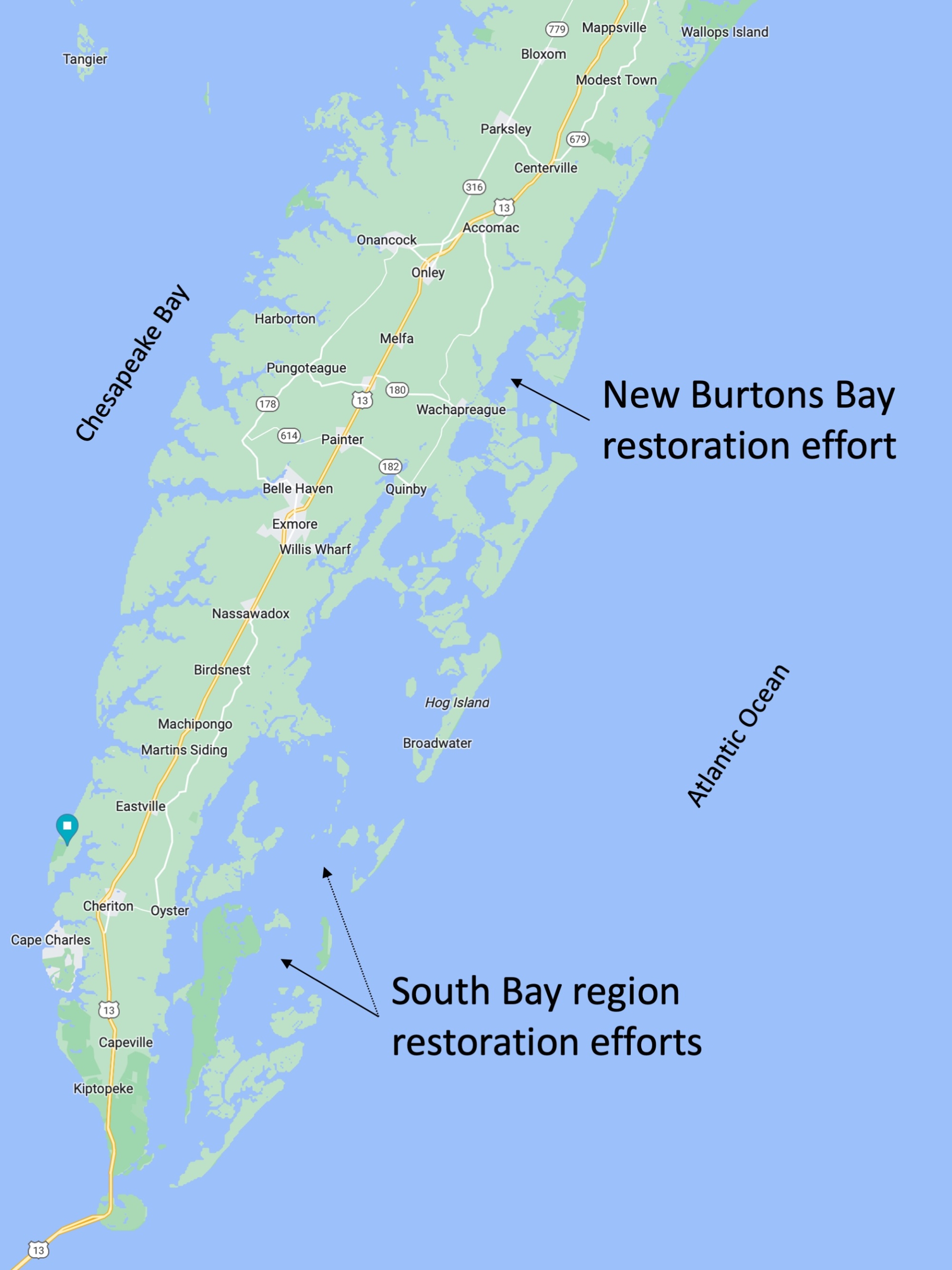 VIMS to expand restoration of seagrass, bay scallops on Eastern Shore ...