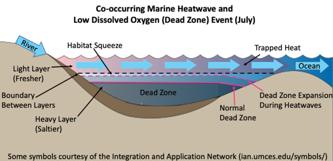 Unexpected findings emerge in study of subsurface effects of marine ...