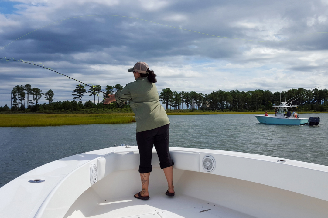 Middle Peninsula marshes and living shorelines create benefits valued ...