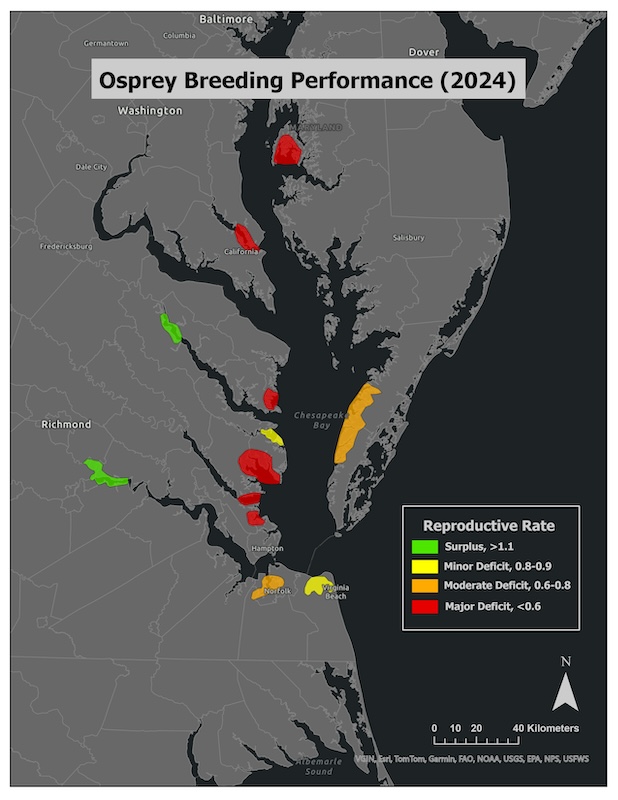 CCB’s latest osprey study continues decades of work on behalf of the ...