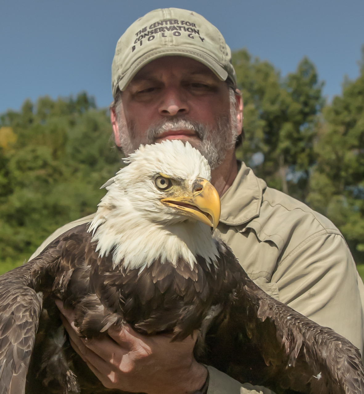 William & Mary’s Bryan Watts awarded highest ornithology honor – W&M News